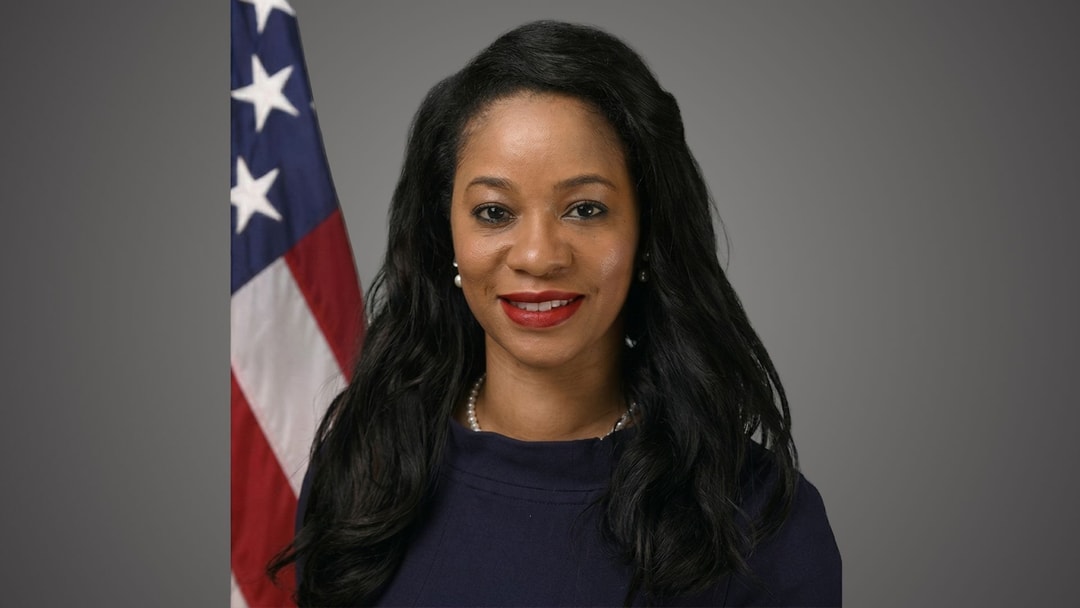 Chandra Donelson to Lead HR IT Modernization for the Department of the ...